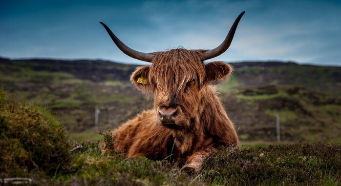 Scottish Dialect: An Author’s Guide to Highland Dialogue – Aaron Mullins